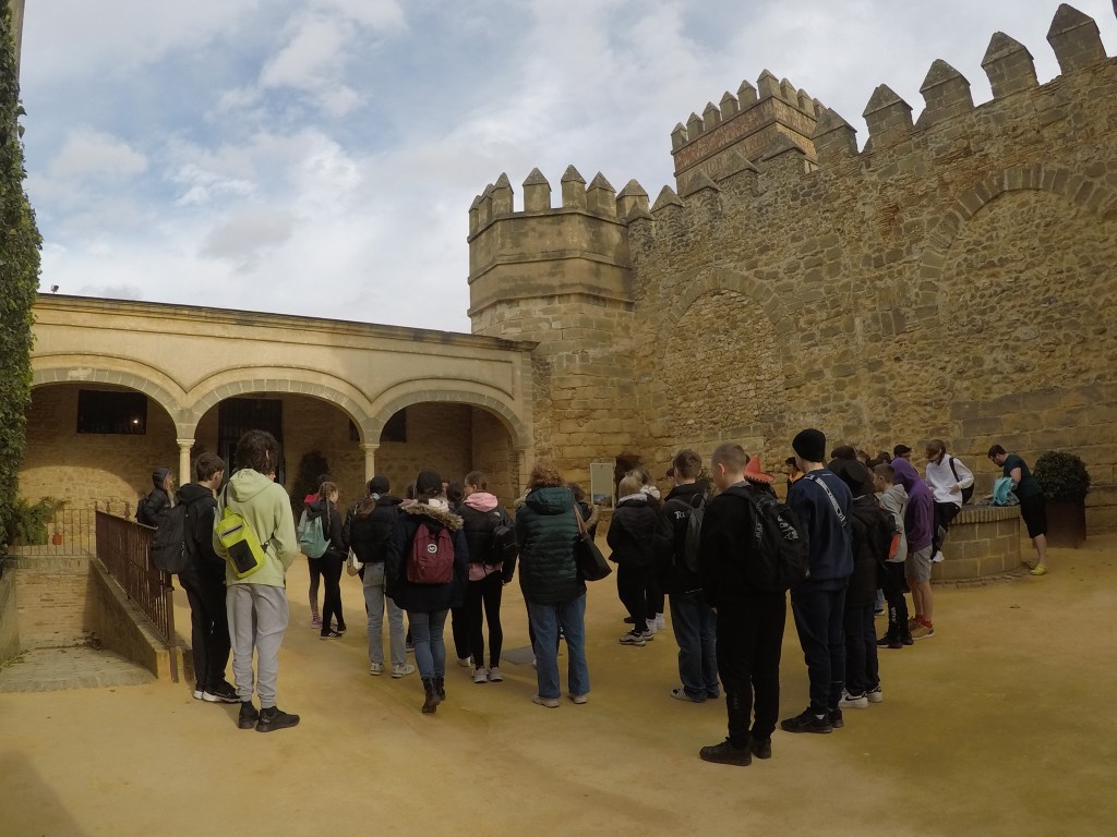 Toynbee 2023 | Spanish School Tours